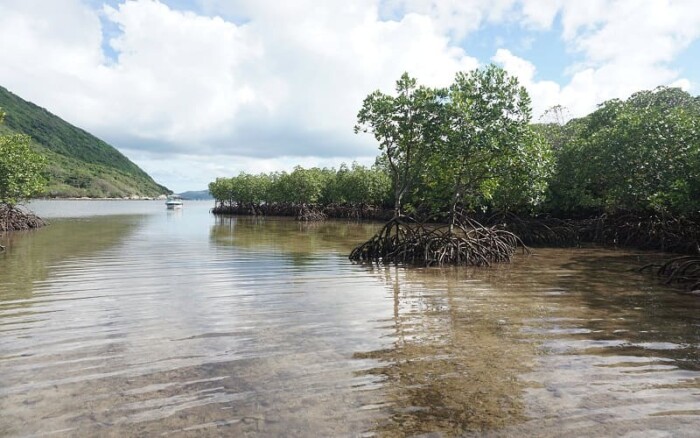 Travel Guide for Visiting to Con Dao National Park Vietnam - Adventure ...