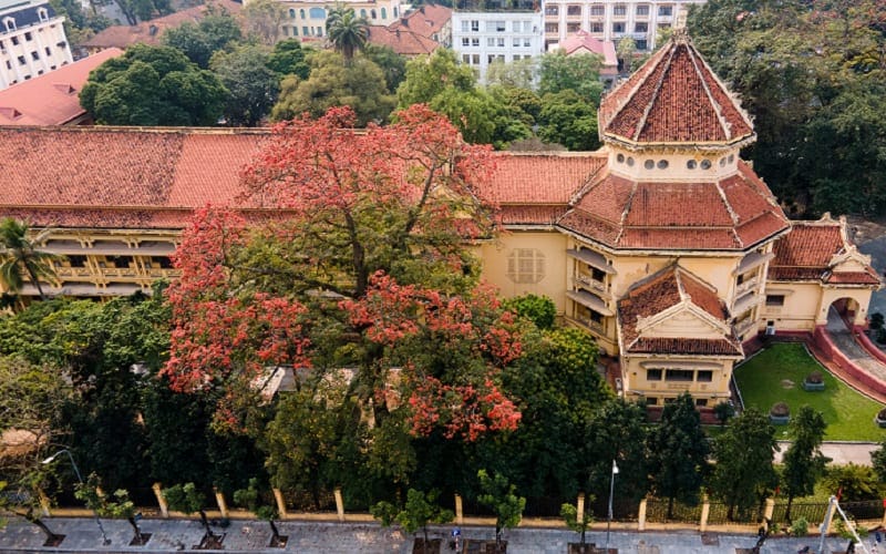 Vietnam National History Museum: Hanoi Travel Information - Adventure ...