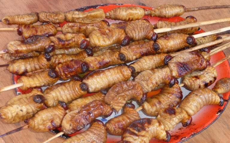 Coconut Worms in Vietnam: How to Cook & Is it Safe to Eat - Adventure ...